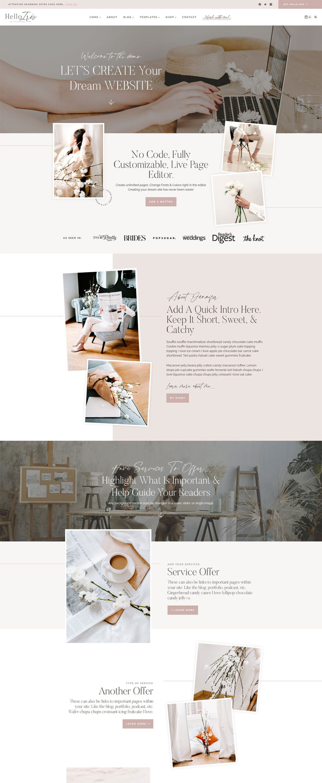 hello-iris-demo – TERRICA