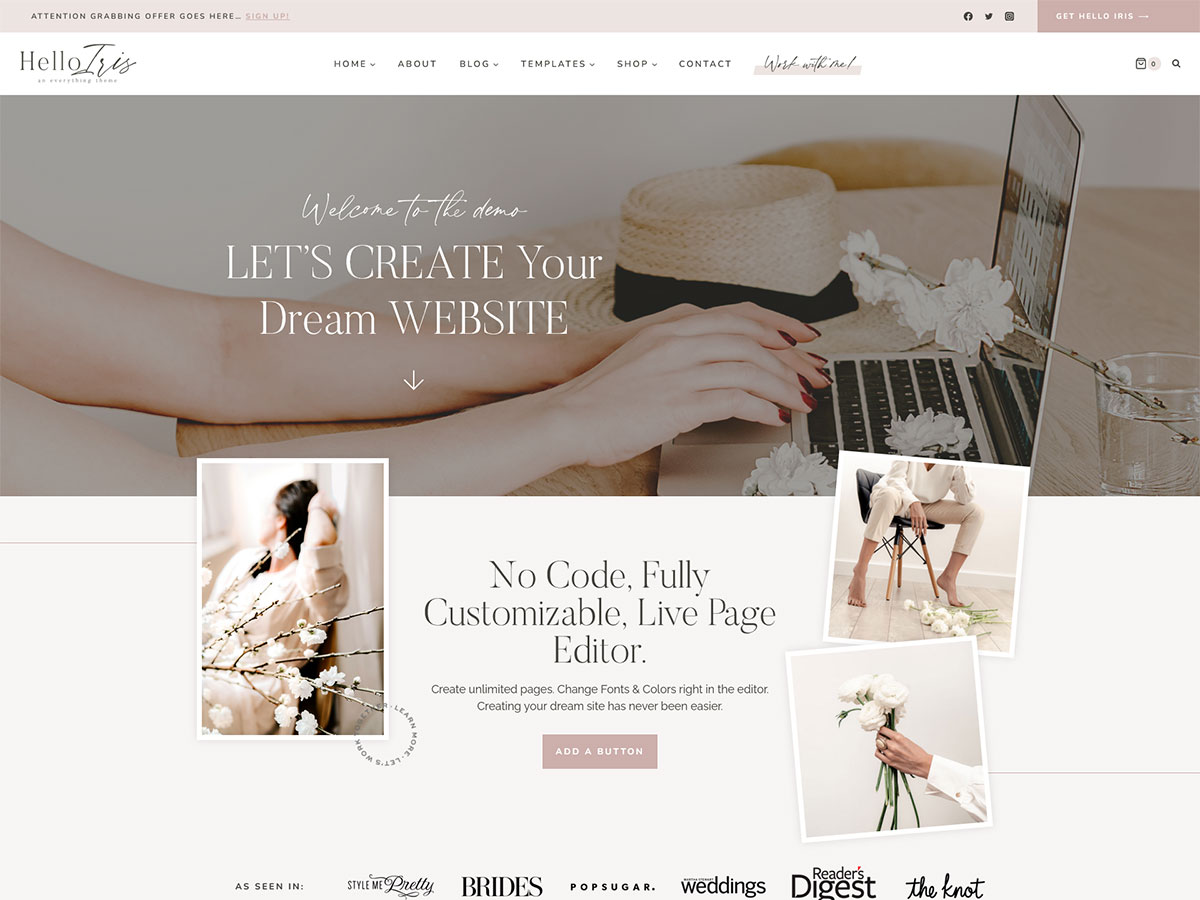 hello-iris-preview – TERRICA